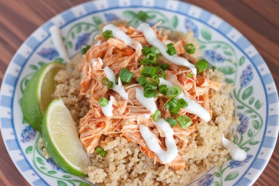 Instant Pot Salsa Chicken - The Holy Mess - Dump and Go Dinner | Once A ...