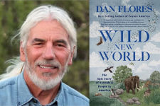 AMP Concerts - Events