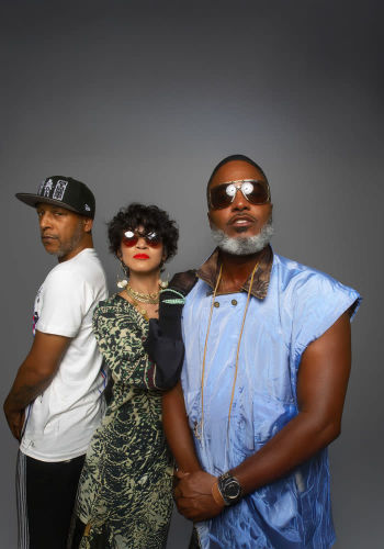 ladybug from digable planets