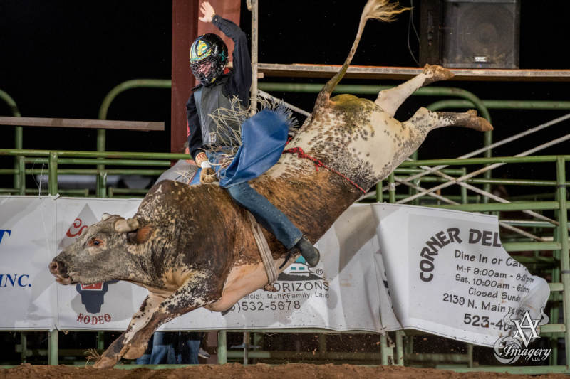 Southern NM State Fair and Rodeo 2024 @ Southern NM State Fairgrounds ...