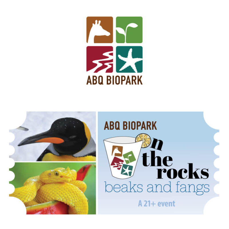 On the Rocks: Beaks and Fangs @ ABQ BioPark ZOO Albuquerque, NM ...