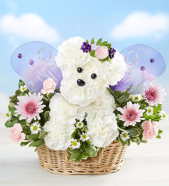Doggie flower arrangement store